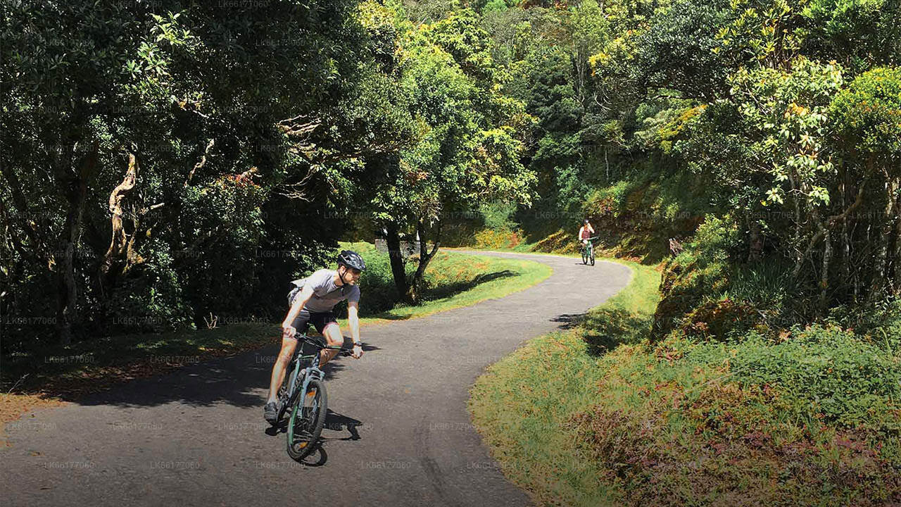 Kala Wewa Reservoir – Lakpura®