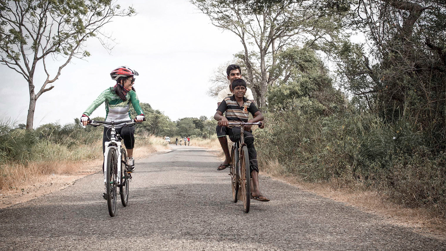 Mount Lavinia Beach – Lakpura®