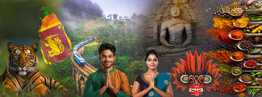 Colombo postal codes – Lakpura®